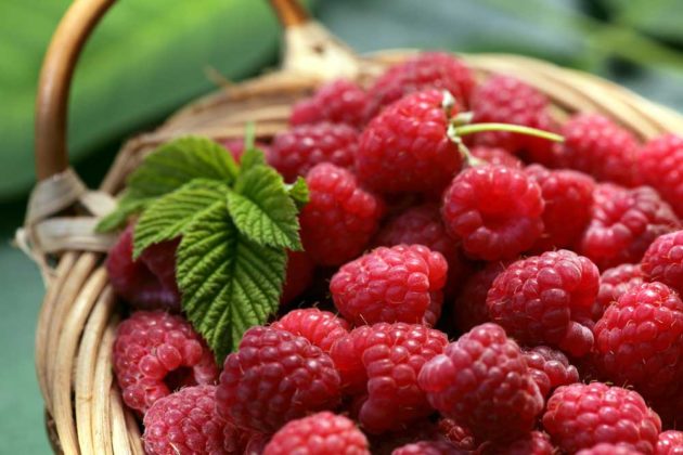 The 7 Incredible Benefits of Raspberries | On The Table